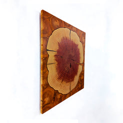 Wood explosion – Marmotaworks