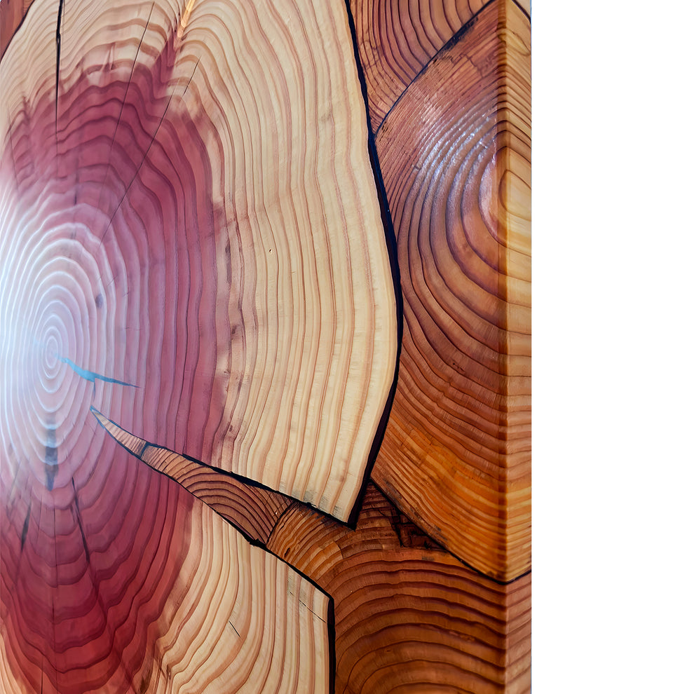 Wood explosion – Marmotaworks