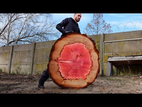 Wood explosion – Marmotaworks